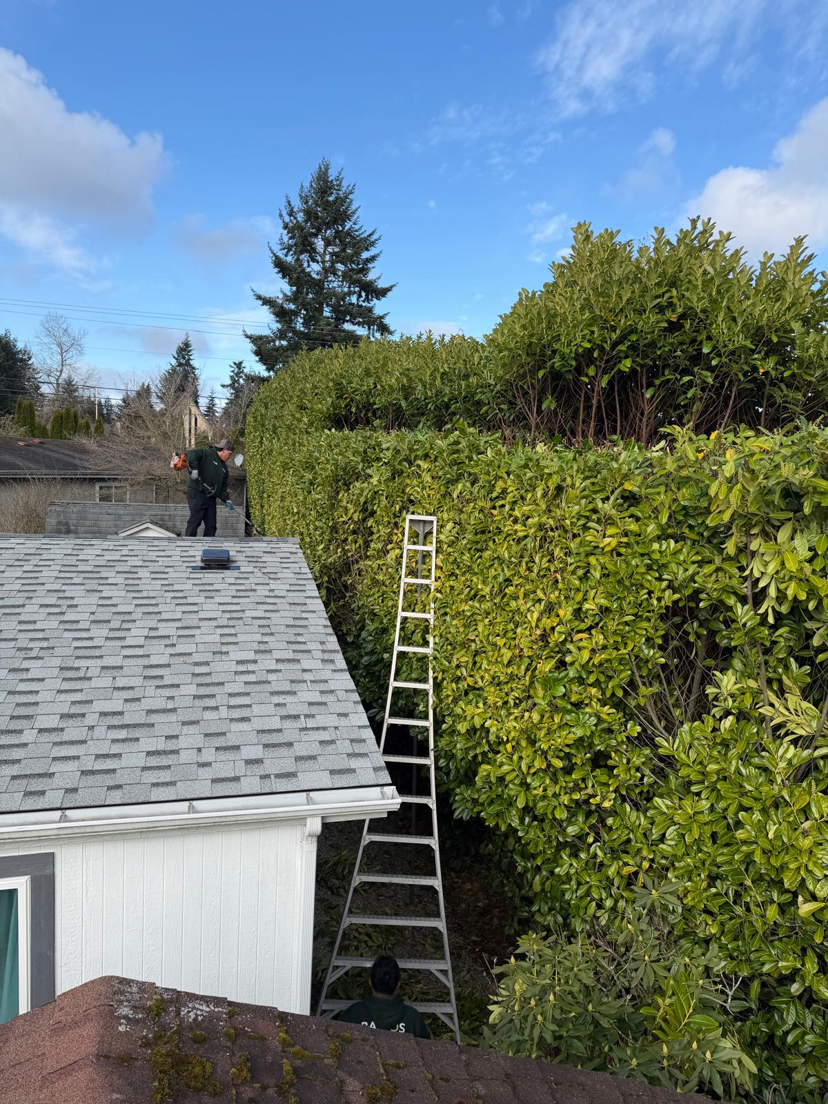 Ramos Landscaping Service | Shoreline, WA — Seattle, Bellevue, Tacoma ...