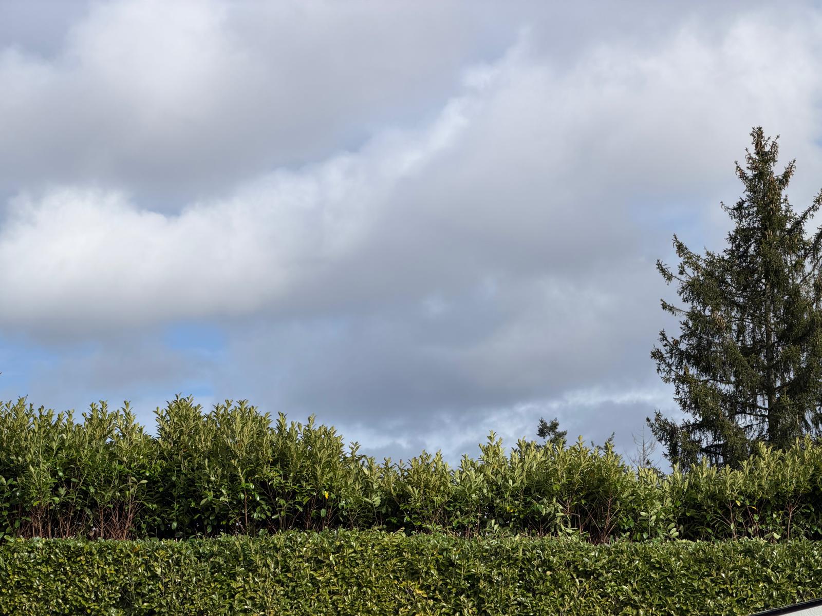 Ramos Landscaping Service | Shoreline, WA — Seattle, Bellevue, Tacoma ...